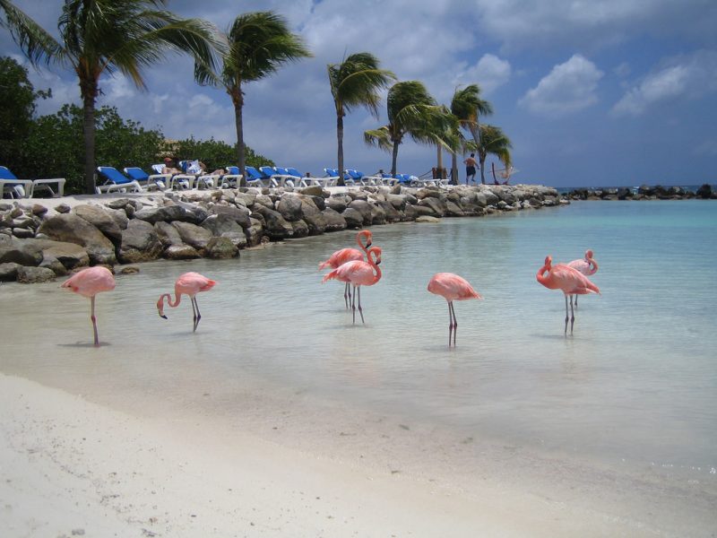 TOP FOUR THINGS TO DO IN ARUBA | The Traveller World Guide | Best ...