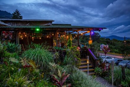 Discovering the Best Nightlife in Medellin, Colombia