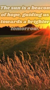 150 Inspiring Sun Shine Quotes to Brighten Your Day and Light Up Your Life!