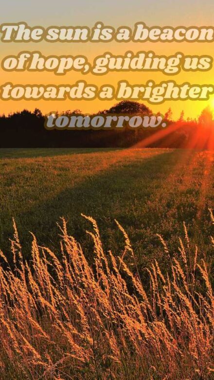 150 Inspiring Sun Shine Quotes to Brighten Your Day and Light Up Your Life!