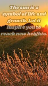 150 Inspiring Sun Shine Quotes to Brighten Your Day and Light Up Your Life!
