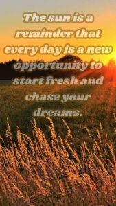 150 Inspiring Sun Shine Quotes to Brighten Your Day and Light Up Your Life!