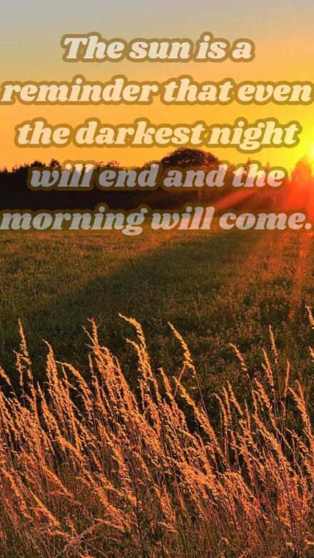 150 Inspiring Sun Shine Quotes to Brighten Your Day and Light Up Your Life!