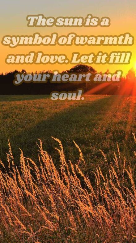 150 Inspiring Sun Shine Quotes to Brighten Your Day and Light Up Your Life!