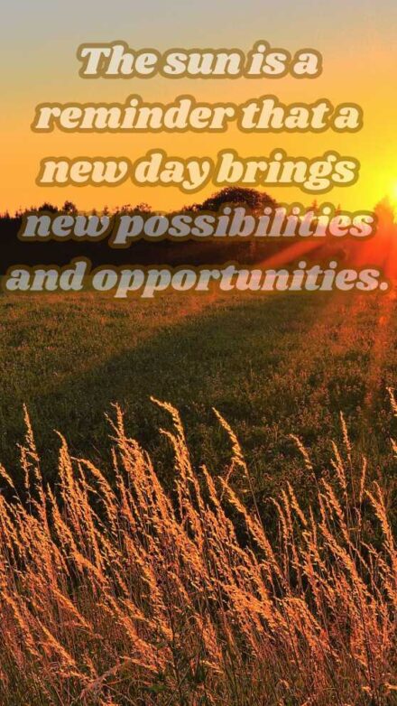 150 Inspiring Sun Shine Quotes to Brighten Your Day and Light Up Your Life!