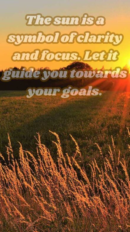 150 Inspiring Sun Shine Quotes to Brighten Your Day and Light Up Your Life!