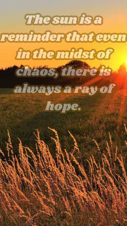 150 Inspiring Sun Shine Quotes to Brighten Your Day and Light Up Your Life!