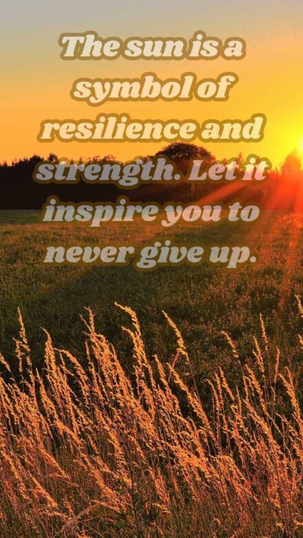 150 Inspiring Sun Shine Quotes to Brighten Your Day and Light Up Your Life!