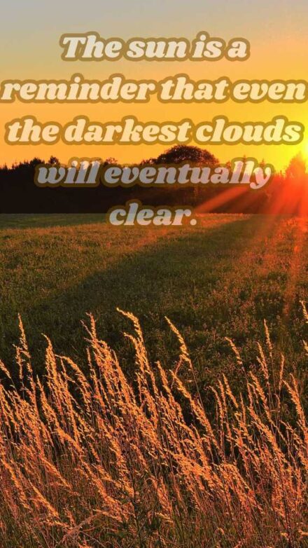 150 Inspiring Sun Shine Quotes to Brighten Your Day and Light Up Your Life!