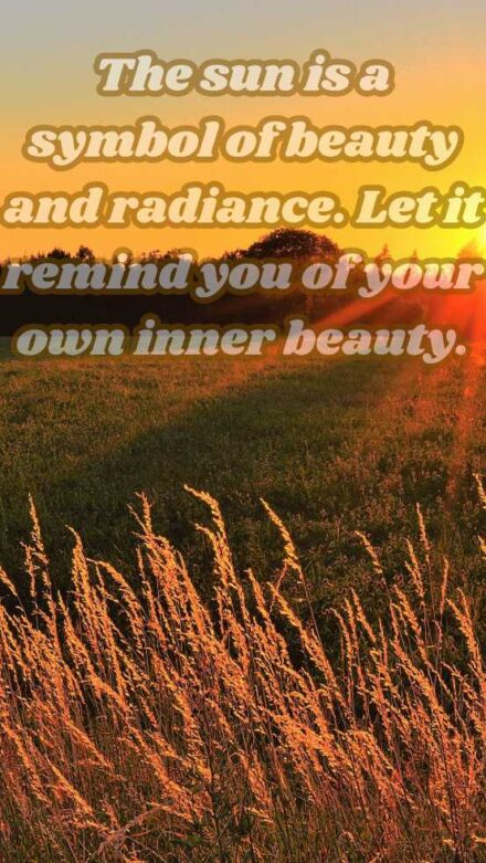 150 Inspiring Sun Shine Quotes to Brighten Your Day and Light Up Your Life!