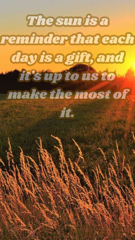 150 Inspiring Sun Shine Quotes to Brighten Your Day and Light Up Your Life!