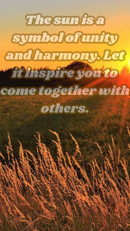 150 Inspiring Sun Shine Quotes to Brighten Your Day and Light Up Your Life!