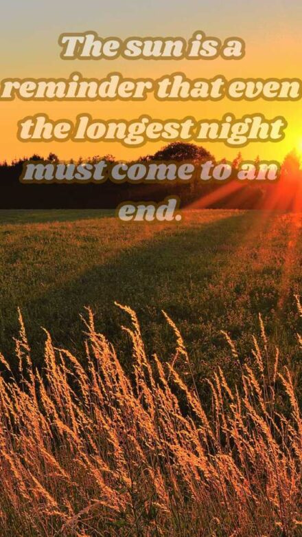 150 Inspiring Sun Shine Quotes to Brighten Your Day and Light Up Your Life!