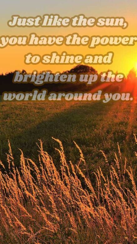 150 Inspiring Sun Shine Quotes to Brighten Your Day and Light Up Your Life!