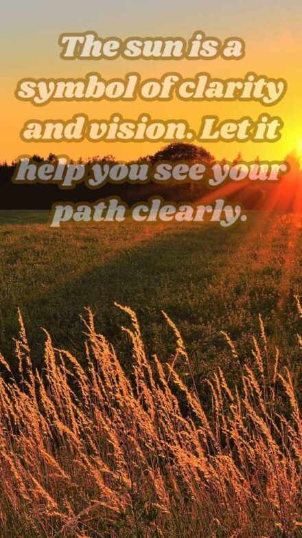 150 Inspiring Sun Shine Quotes to Brighten Your Day and Light Up Your Life!