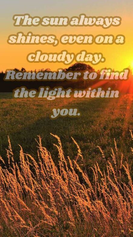 150 Inspiring Sun Shine Quotes to Brighten Your Day and Light Up Your Life!