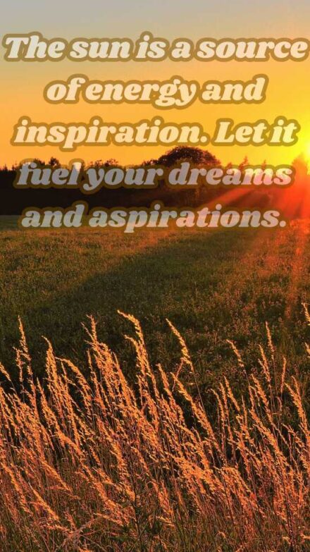 150 Inspiring Sun Shine Quotes to Brighten Your Day and Light Up Your Life!