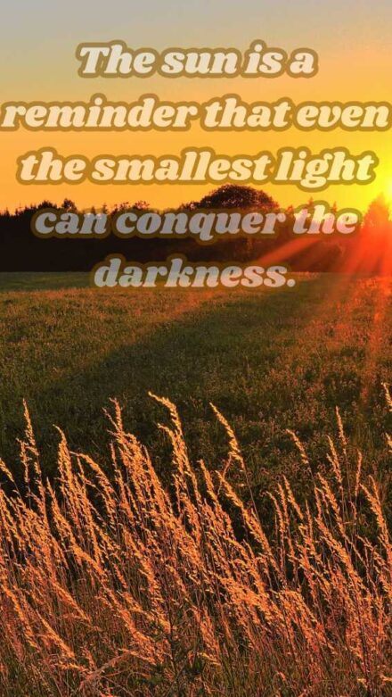 150 Inspiring Sun Shine Quotes to Brighten Your Day and Light Up Your Life!