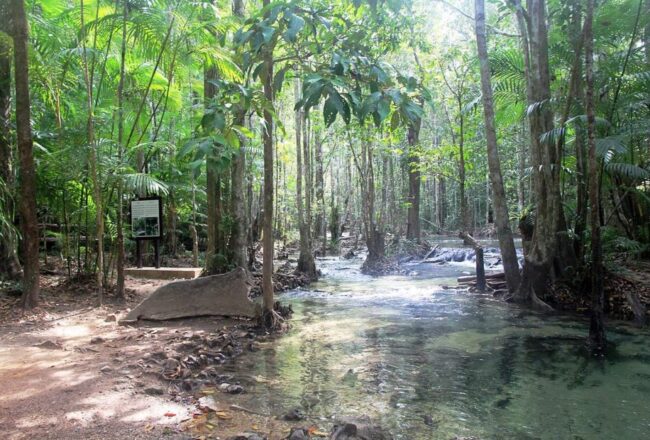 Emerald Pool & Blue Lagoon Guide: Krabi’s Hidden Forest Gems